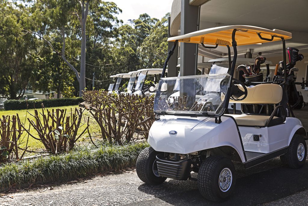 Golf Cart Group - Winter Studios